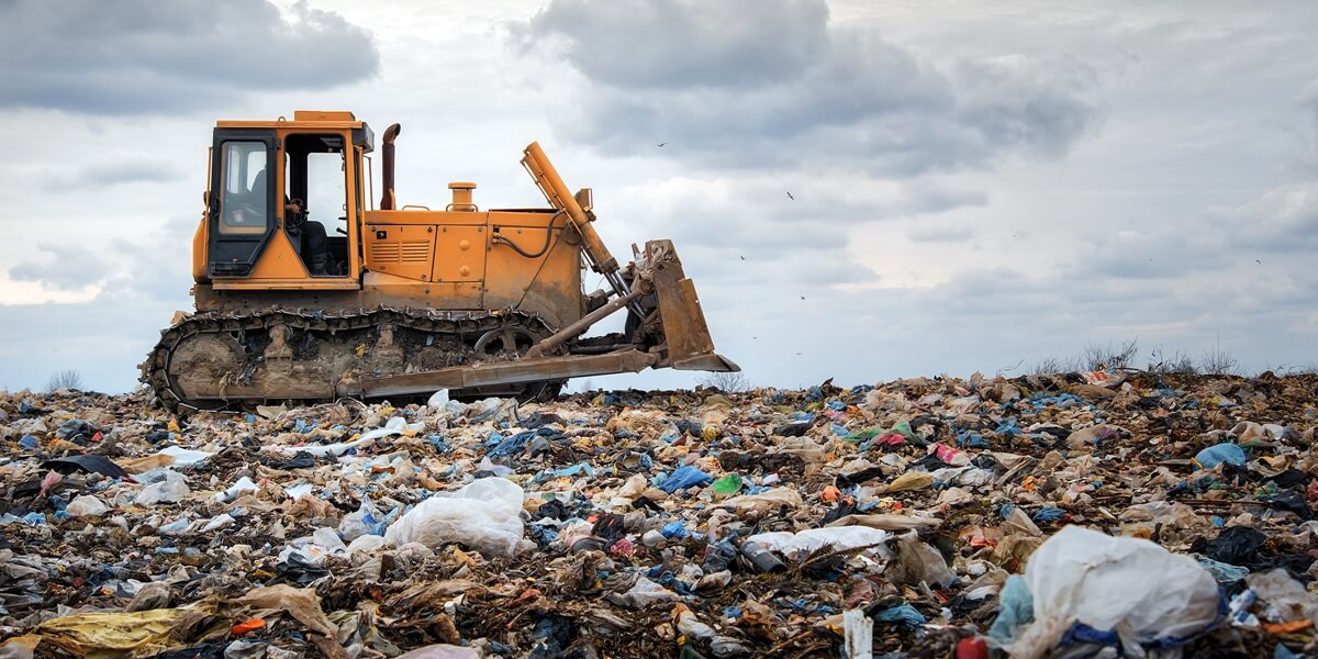 You Must Know About Biodegradable Plastic Bags | Deepking